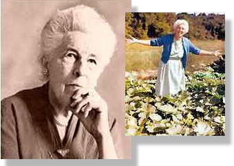 History - The Garden Club of Newtown